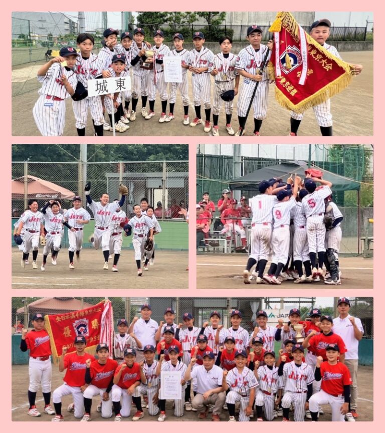 文部科学大臣杯JAトーナメント第59回 全日本リトルリーグ野球選手権大会 東京連盟予選 決勝トーナメントで城東リーグ優勝！｜NEWS｜東京北砂 ...